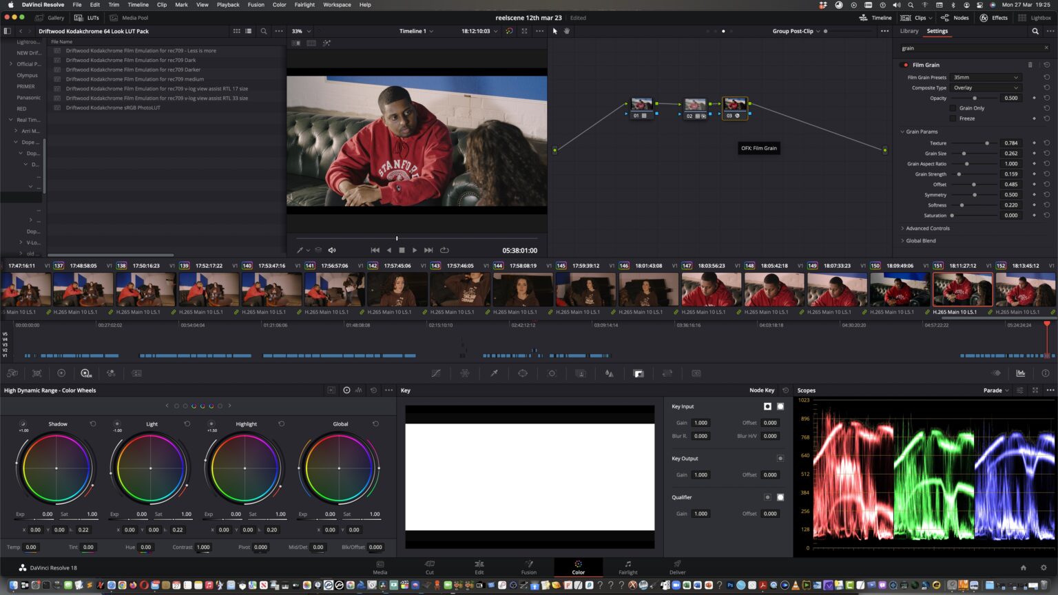 Davinci Resolve 18 Node Tree Setup for Driftwood LUTs & LUMIX Cameras ...