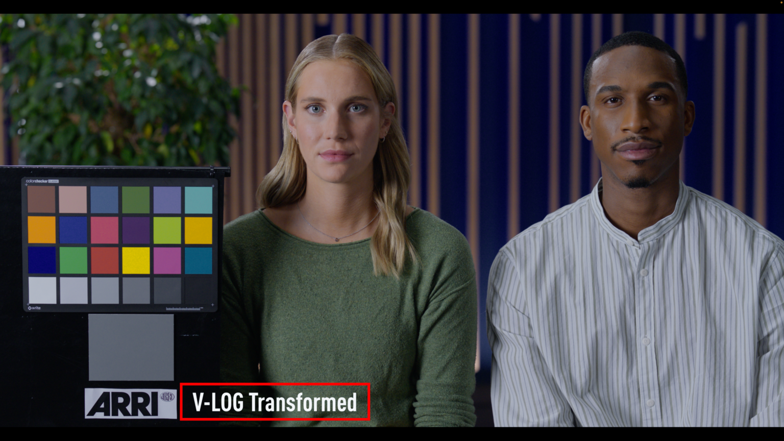 Apocalypse Now LUT - Driftwood Eastman 5247 Emu - FREE Version - Nick ...