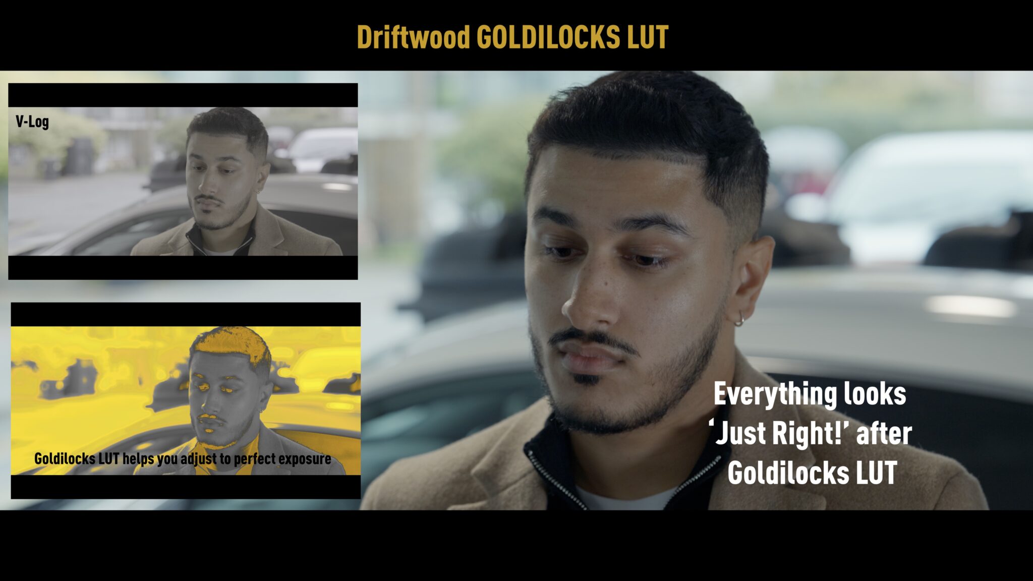 Goldilocks 'Just Right' Skintones False Color LUT for V-Log FREE ...